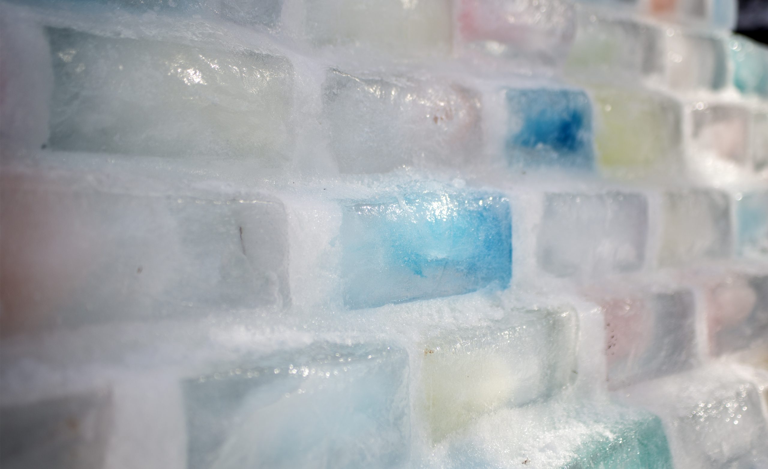 Igloo of dreams - Wednesday Journal