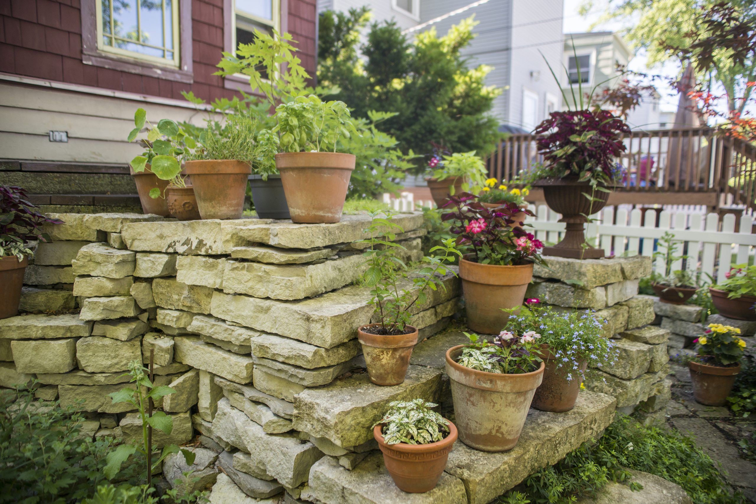 Get inspired by touring glorious gardens - Wednesday Journal