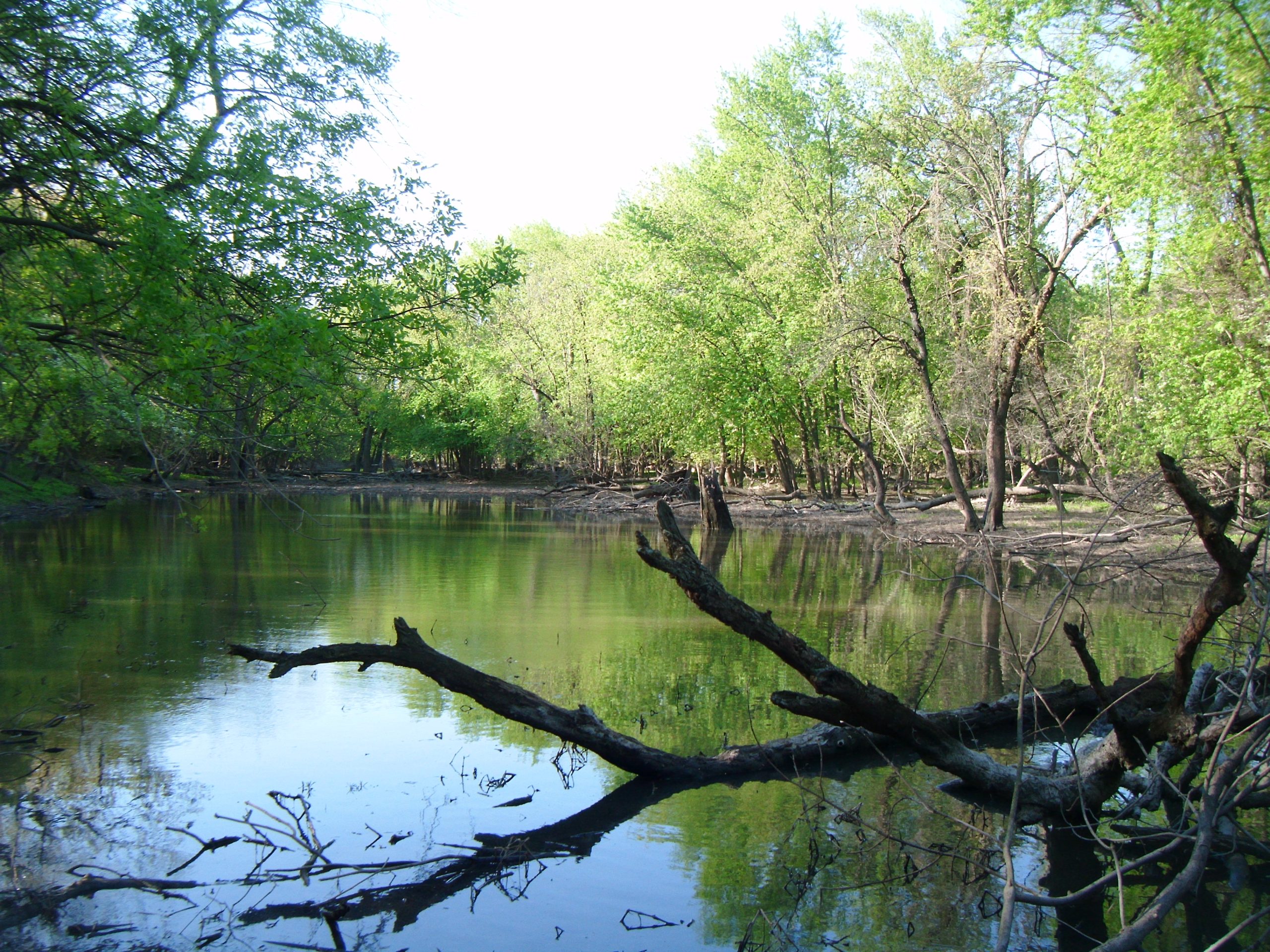 Support for connecting River Trail with Prairie Path - Wednesday Journal