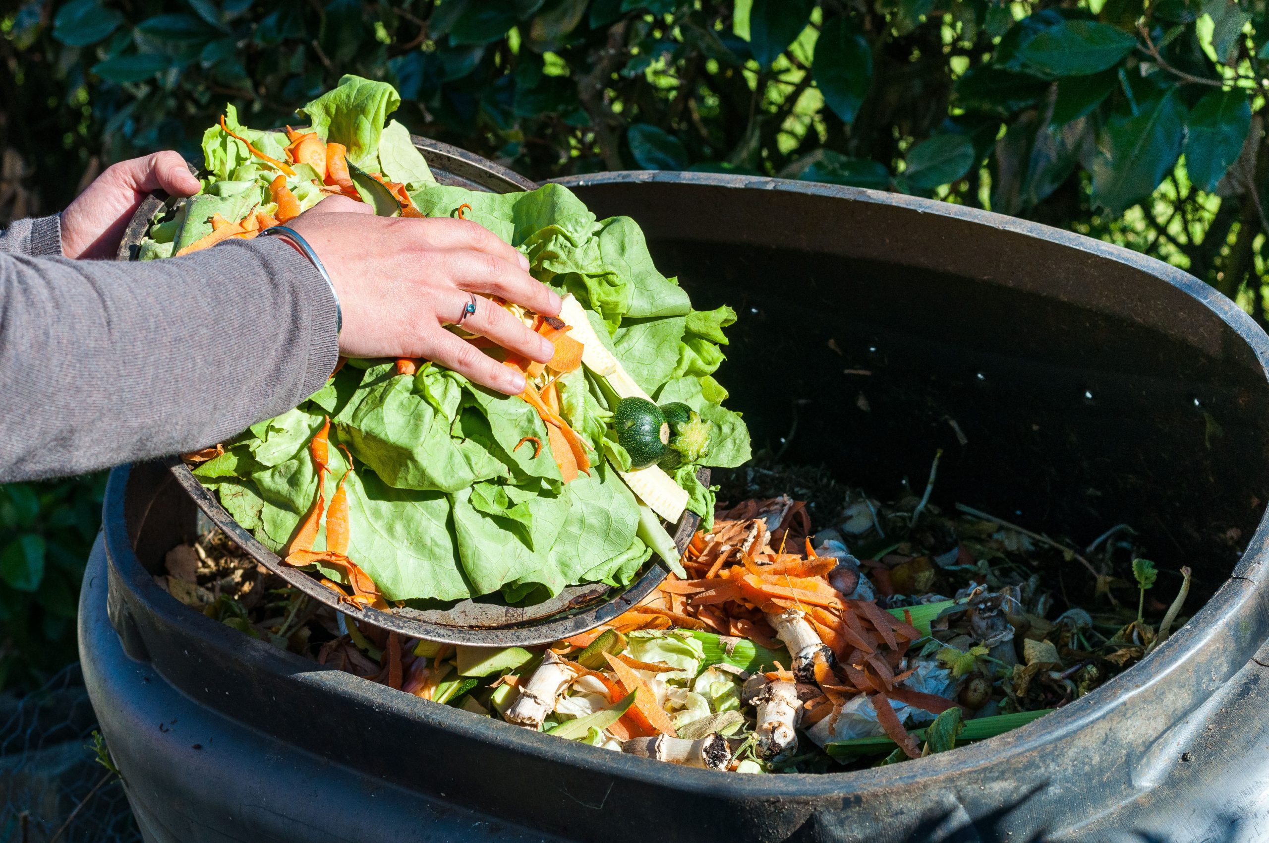 Talking trash: composting in Proviso - Wednesday Journal