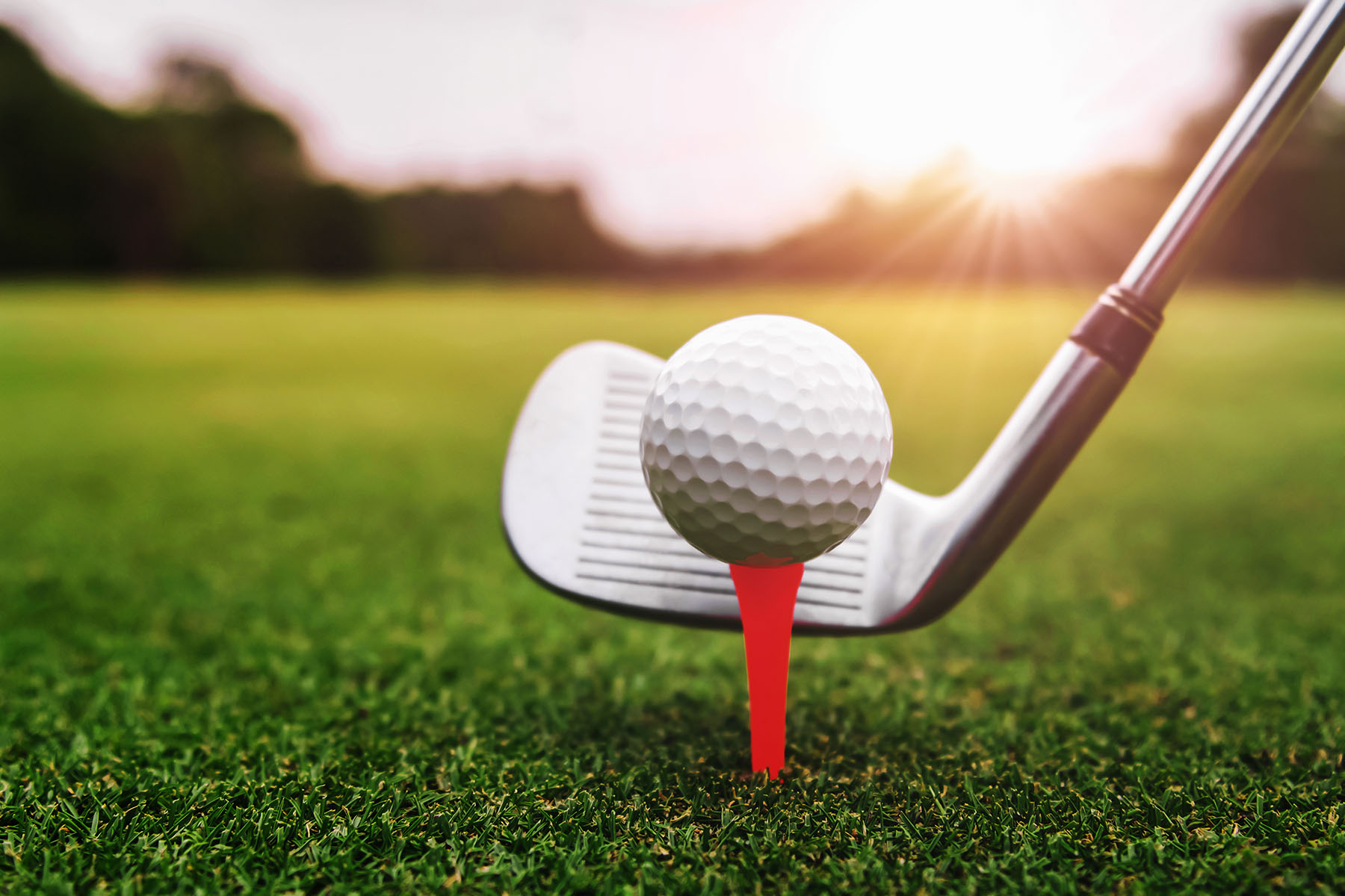 Sherlock, Sweeney, Vattana advance to state golf finals - Wednesday Journal