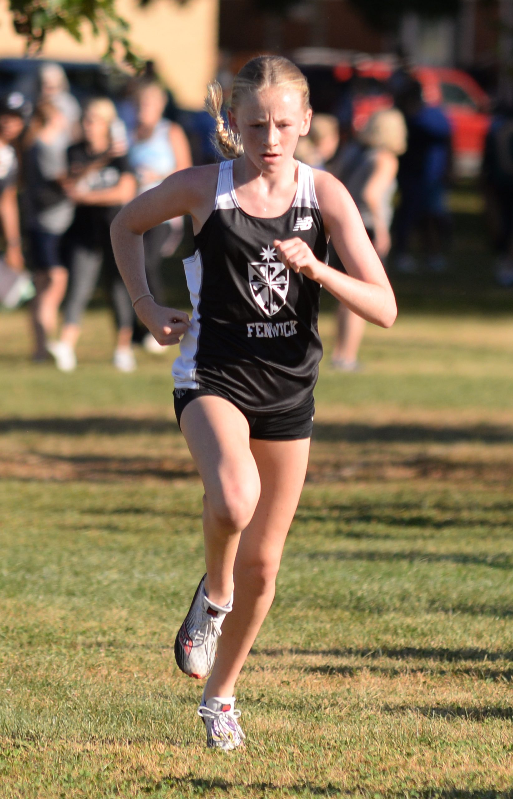 Local cross country runs well at regionals - Wednesday Journal