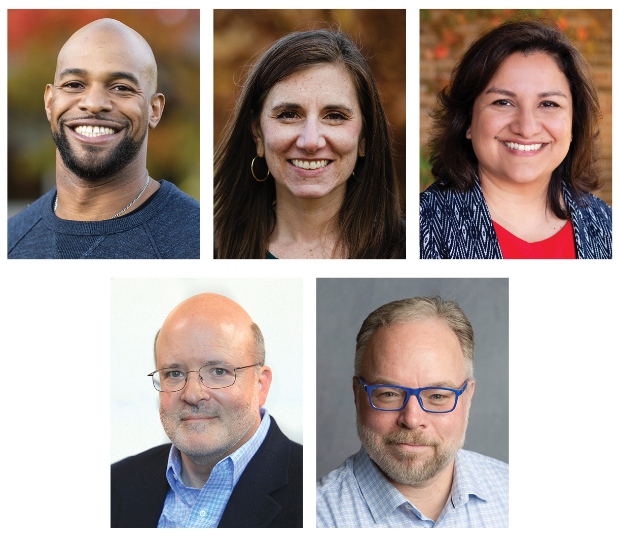 Who is running for Oak Park village trustee in the 2025 election ...