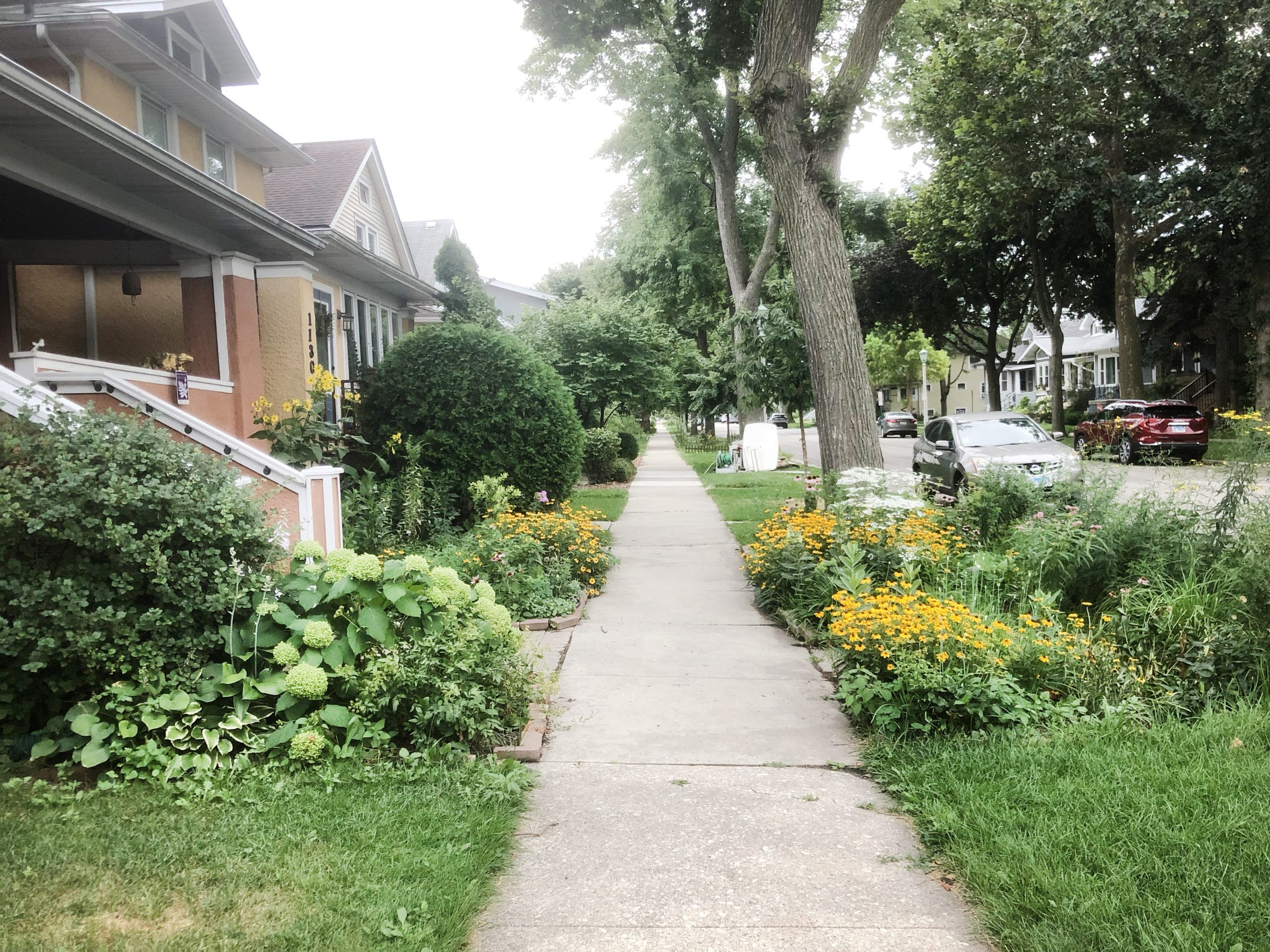 Flower gardens on village parkways win approval - Wednesday Journal