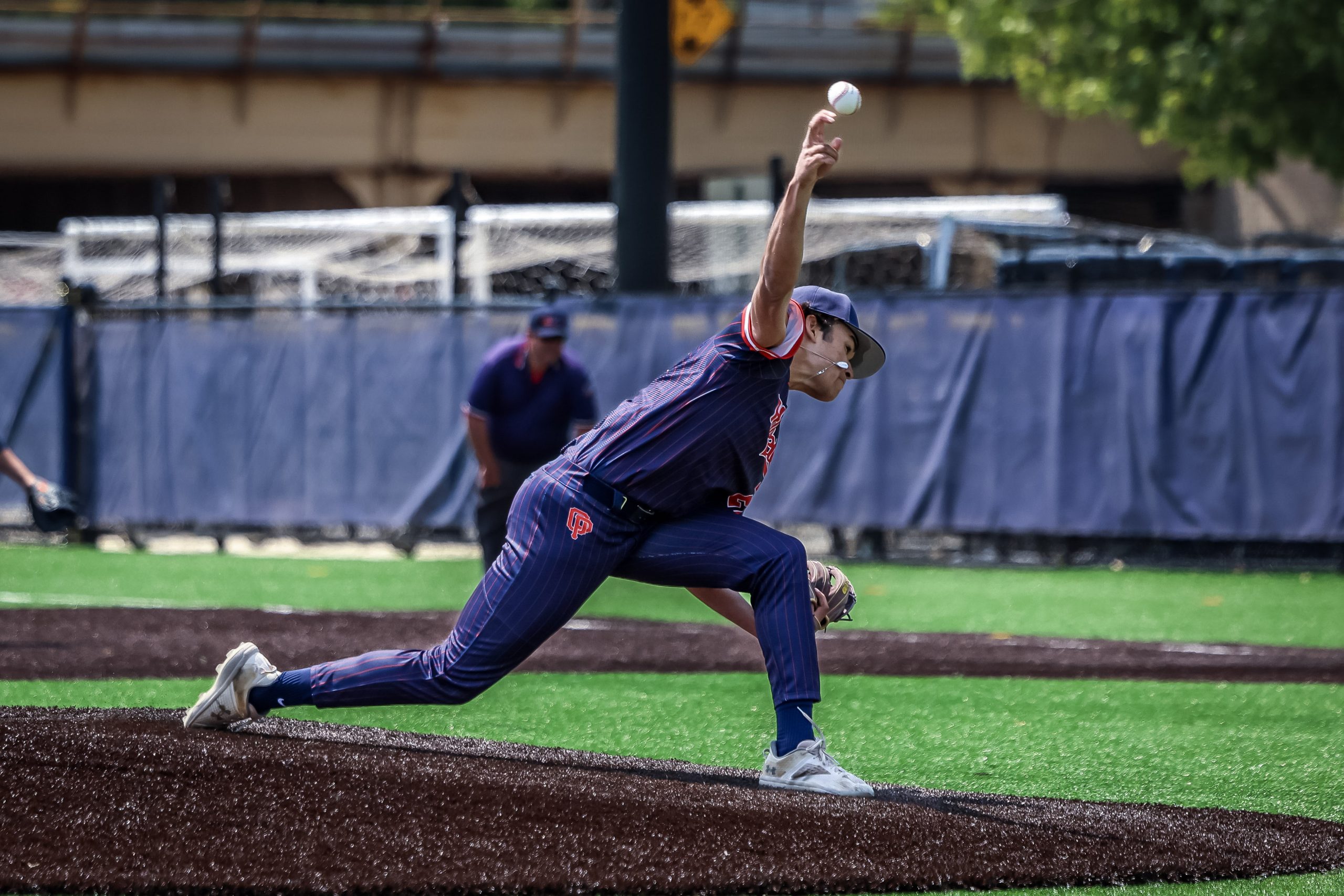 OPRF baseball, softball win regional titles - Wednesday Journal