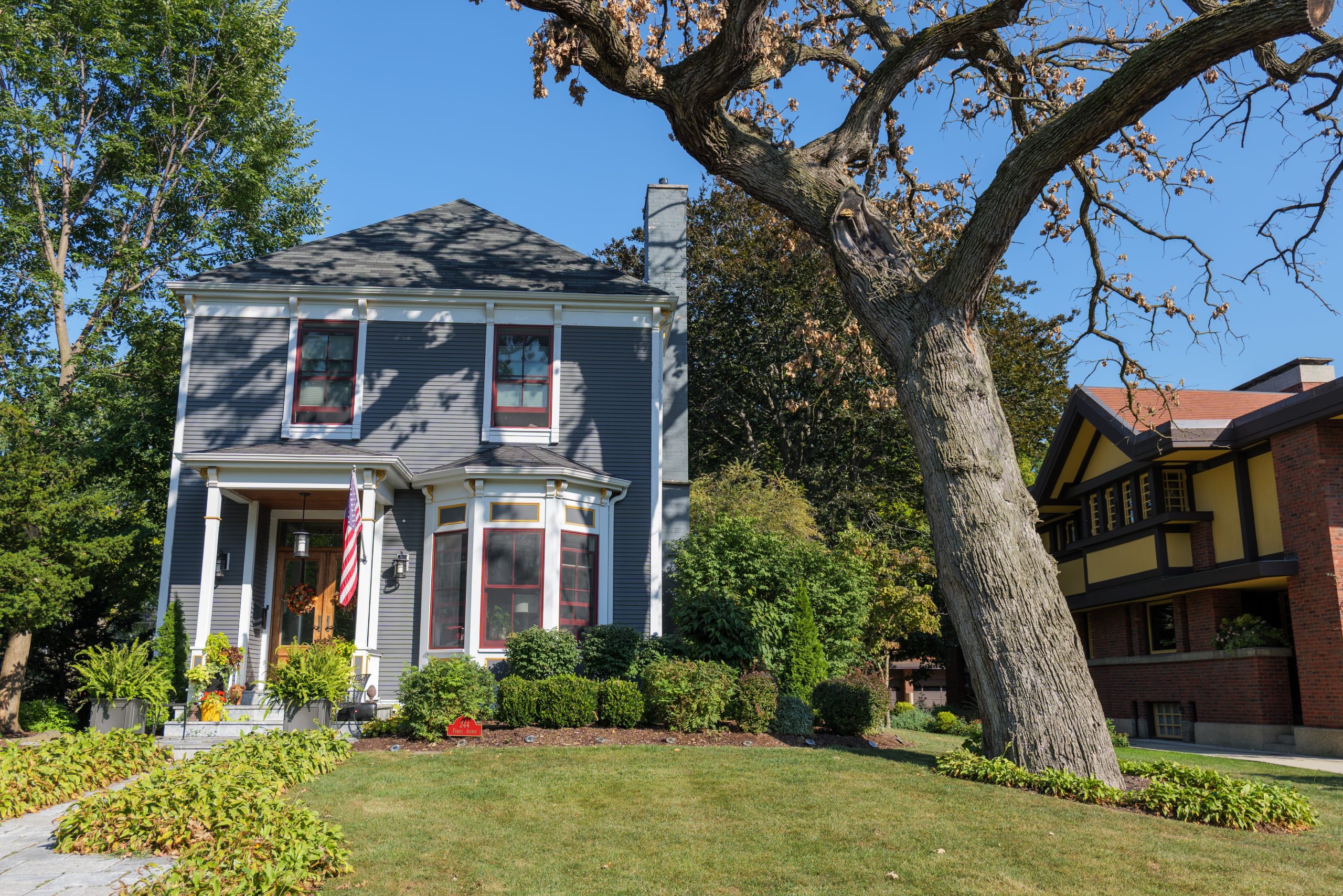 After 200 years, beloved tree sees its last autumn - Wednesday Journal